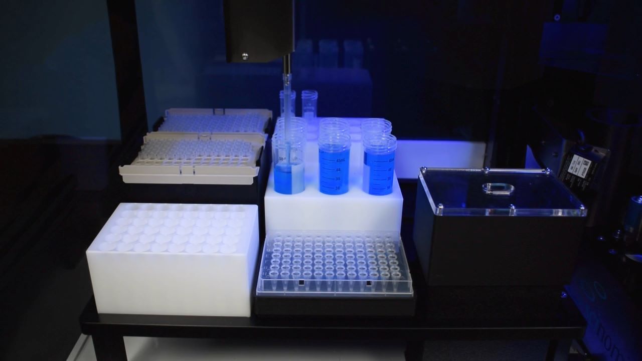 Advancing High-Throughput Screening: 6 Key Advantages of Automated ...